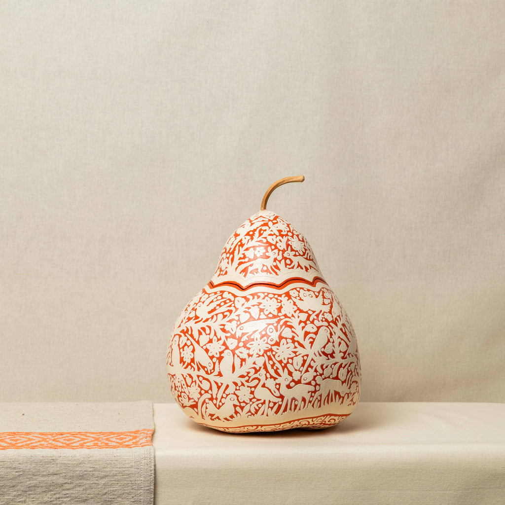 Guaje Olinalá Bicolor – HUAKAL MX